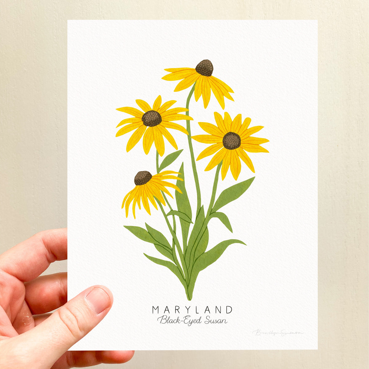Maryland - Black-Eyed Susan – brooklynswenson