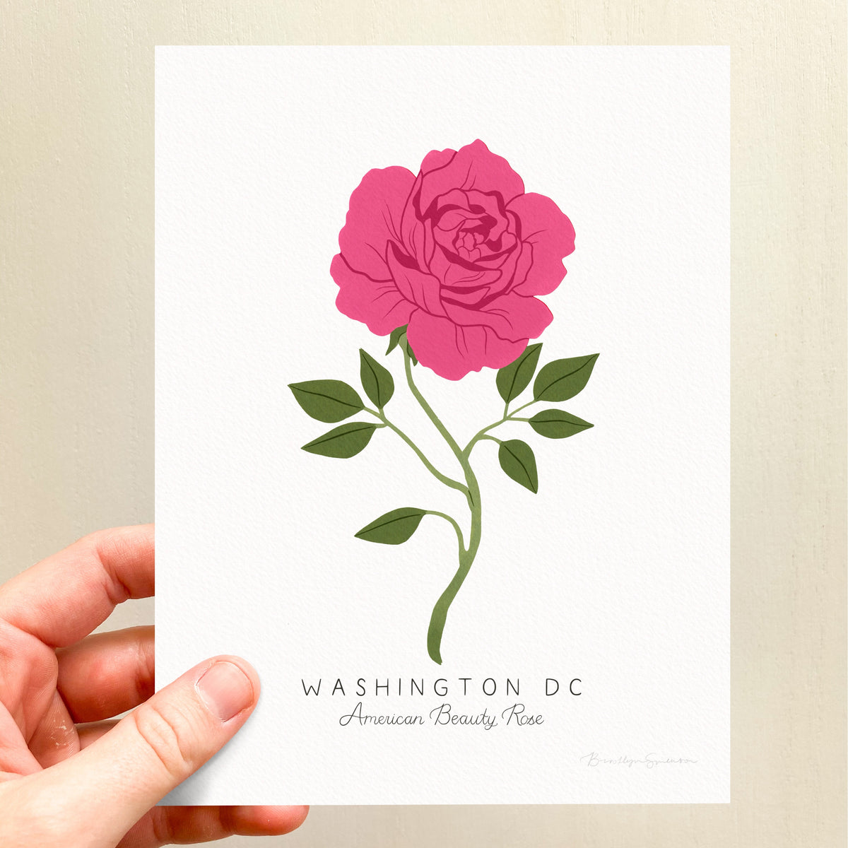 Washington DC - American Beauty Rose – brooklynswenson