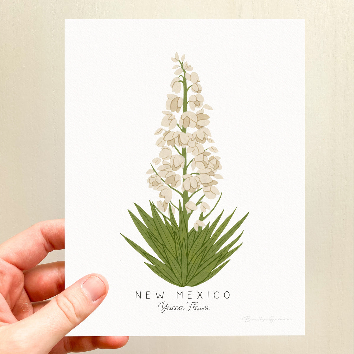 New Mexico - Yucca Flower – brooklynswenson