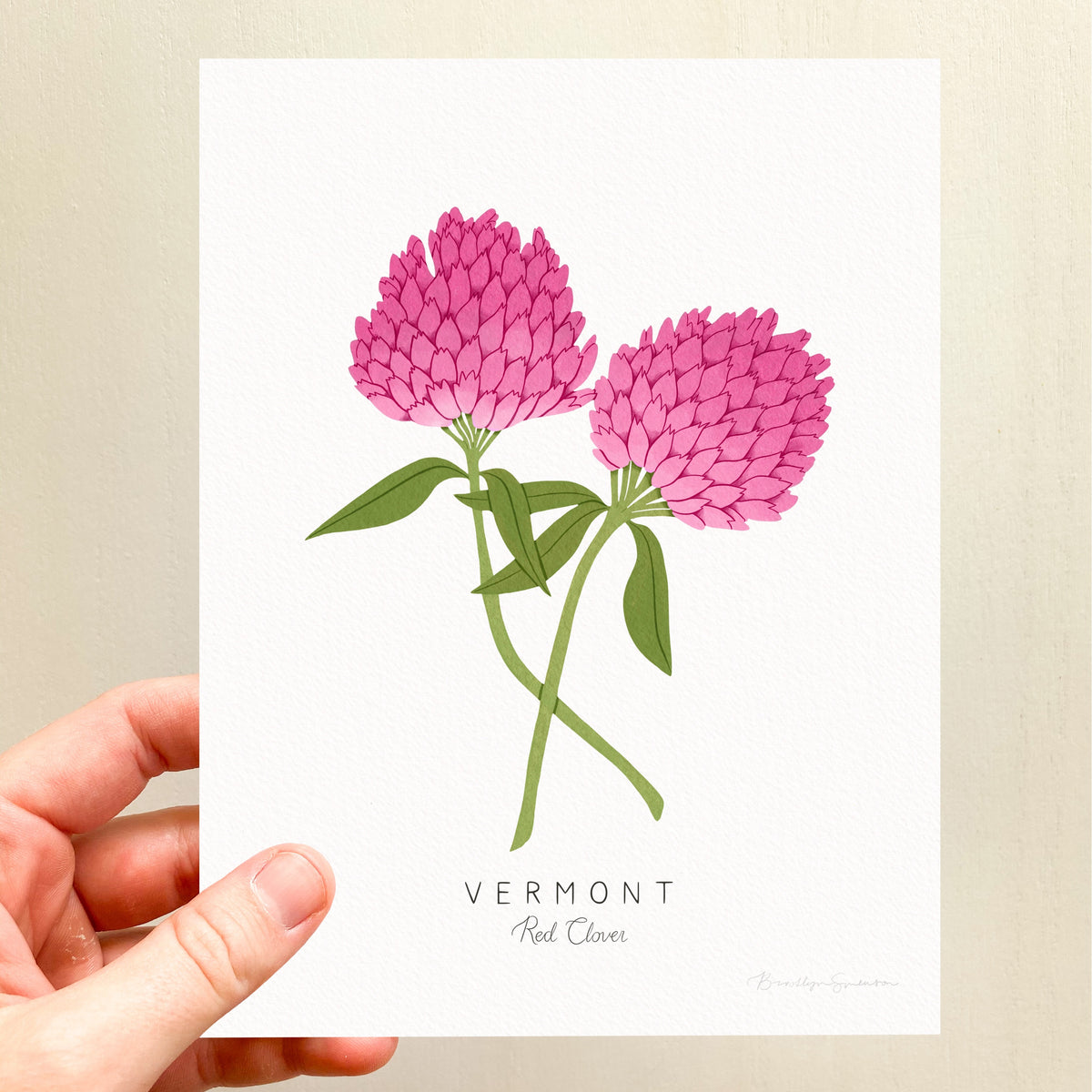 Vermont - Red Clover – brooklynswenson