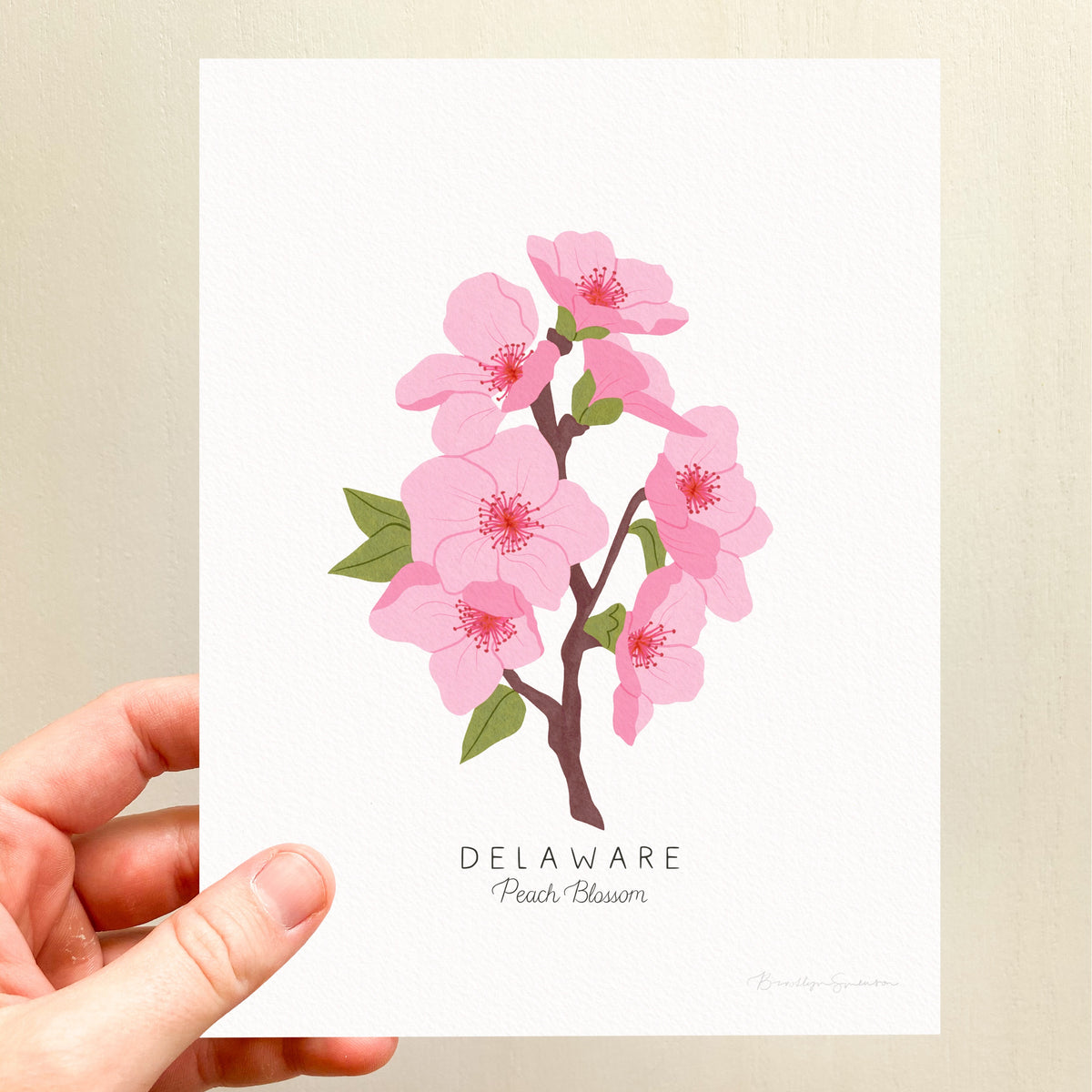 Delaware - Peach Blossom – brooklynswenson