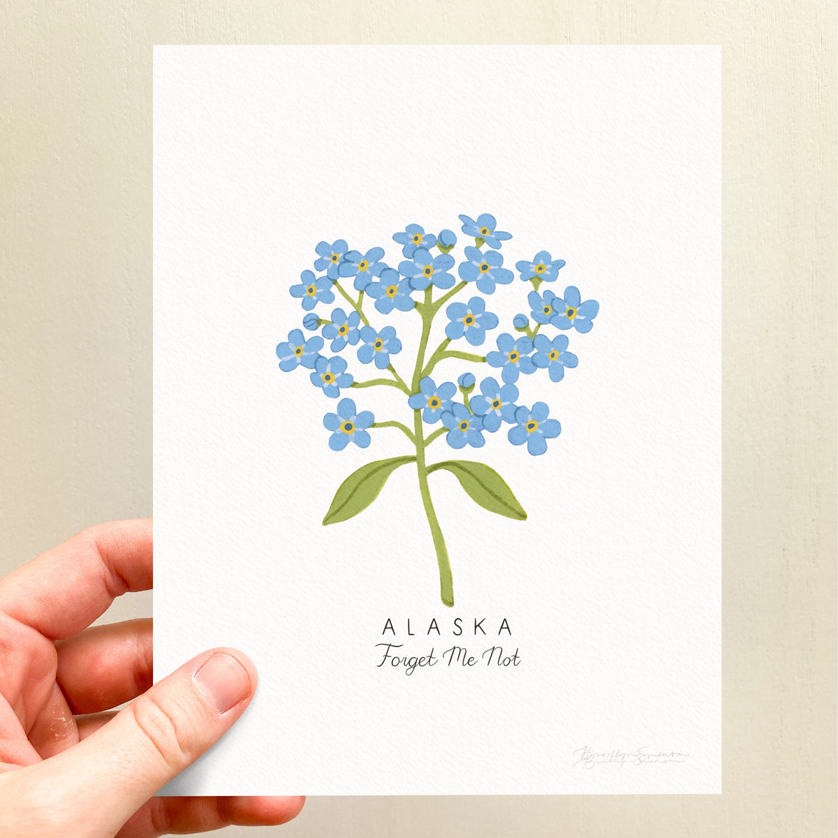 Alaska - Forget Me Not – brooklynswenson