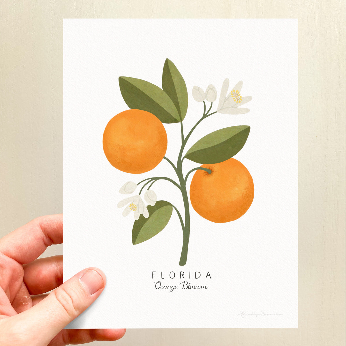 Florida Orange Blossom – brooklynswenson