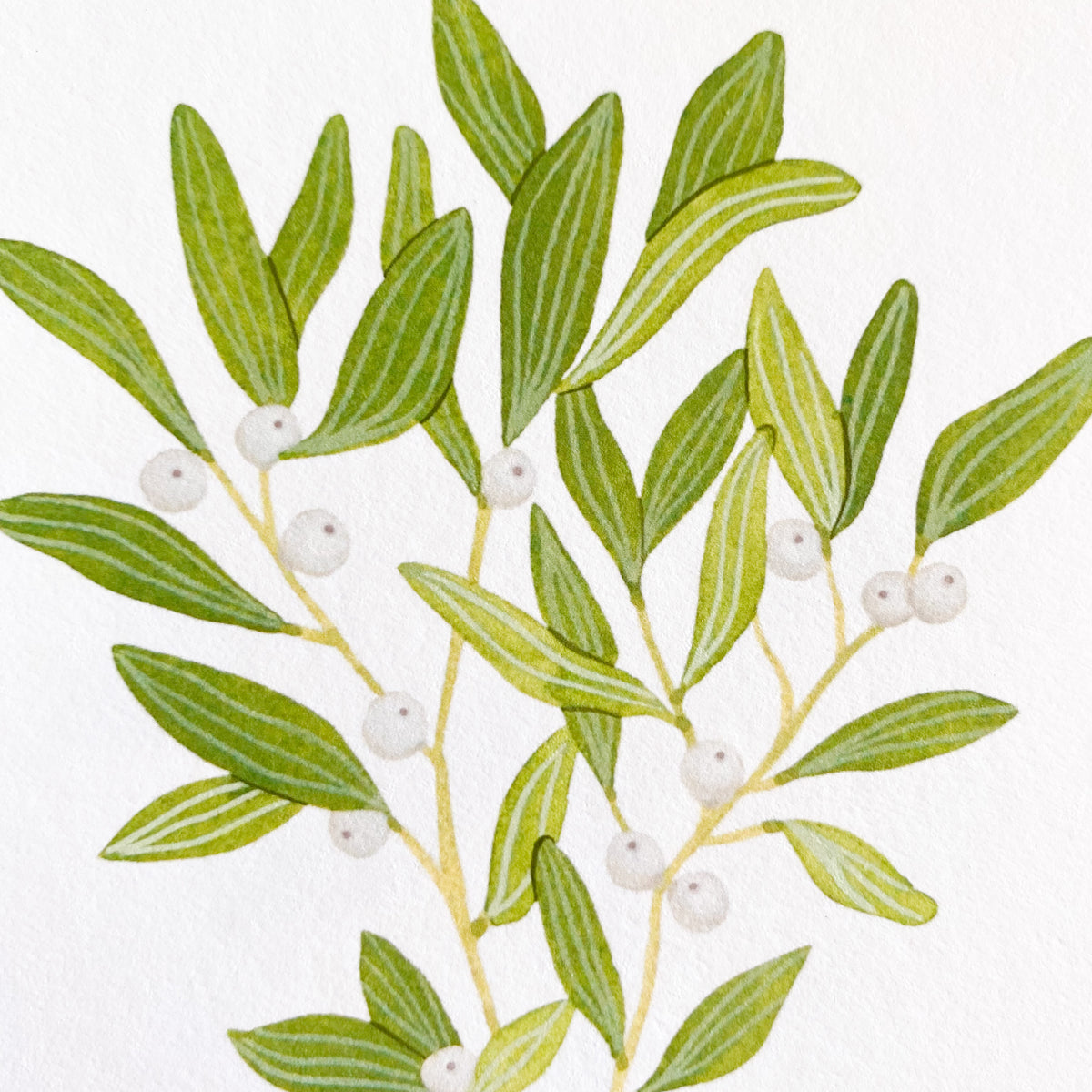 Oklahoma - Mistletoe – brooklynswenson