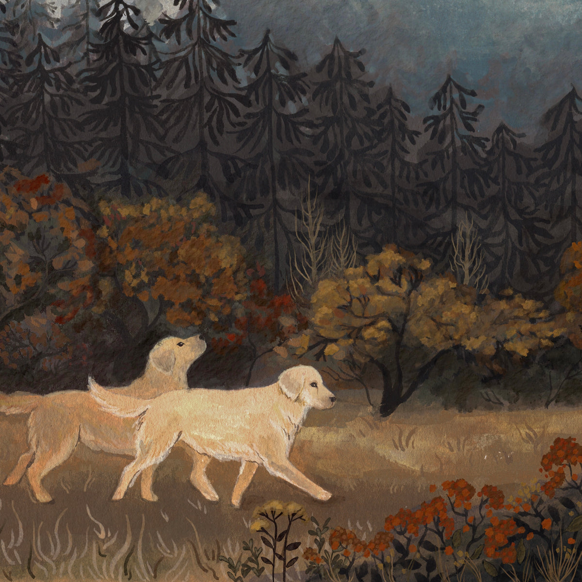 Autumn Walks – brooklynswenson